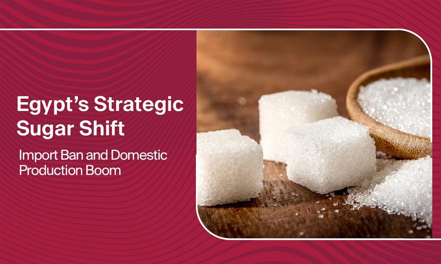Arab Finance - Egypt’s Strategic Sugar Shift: Import Ban and Domestic ...